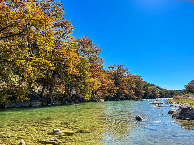 Mother Nature showing off her best work where cypress trees meet crystal-clear waters. Fall foliage adds that perfect touch of magic.