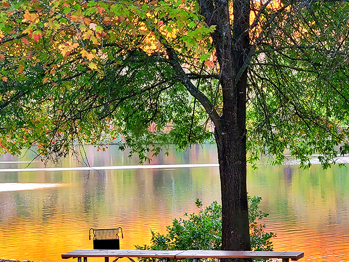Fall's first whispers transform Holliday Lake into a painter's palette, where tranquility awaits at nature's perfect picnic spot.