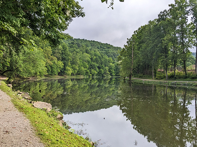 Mirror, mirror on the water! The Clinch River creates perfect reflections that would make even Narcissus do a double-take.