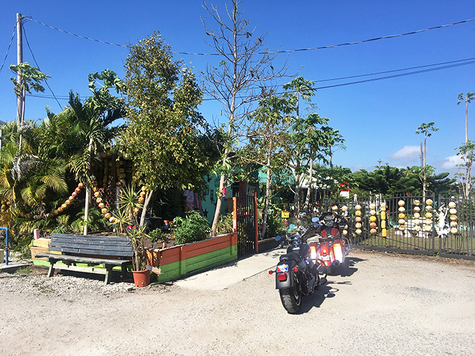 The entrance to paradise doesn&rsquo;t need a fancy gate&mdash;just tropical greenery, colorful planters, and rows of hanging buoys that hint at the delicious adventures ahead.