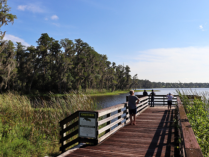 A wooden boardwalk stretches into Lake Louisa like nature's red carpet, inviting you to step into a Florida that existed long before Mickey Mouse arrived.