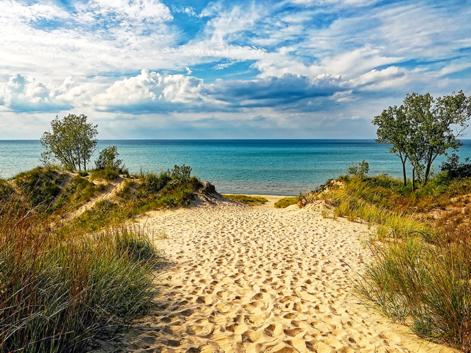 Nature's welcome mat: sandy pathways through windswept dunes lead visitors to the sparkling blue waters beyond.