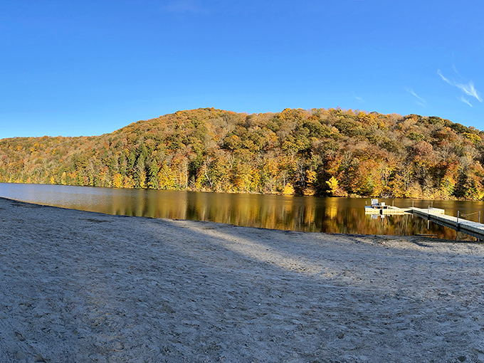 Golden autumn reflections dance across Laurel Hill Lake like nature's own disco ball in motion.