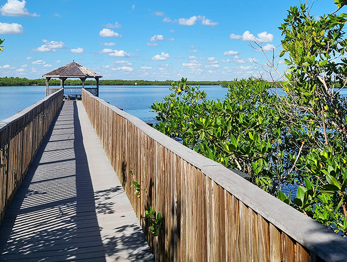 The wooden boardwalk stretches toward serenity, inviting you to leave your worries on the mainland and enter a world where nature calls the shots.