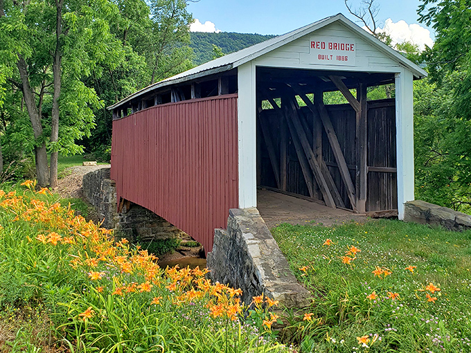 The Red Bridge stands proudly against Pennsylvania's lush greenery, its crimson siding and white trim creating a perfect postcard moment.