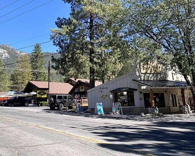 Rustic charm meets mountain magic along Idyllwild's main drag, where pine-scented air comes complimentary with every visit.
