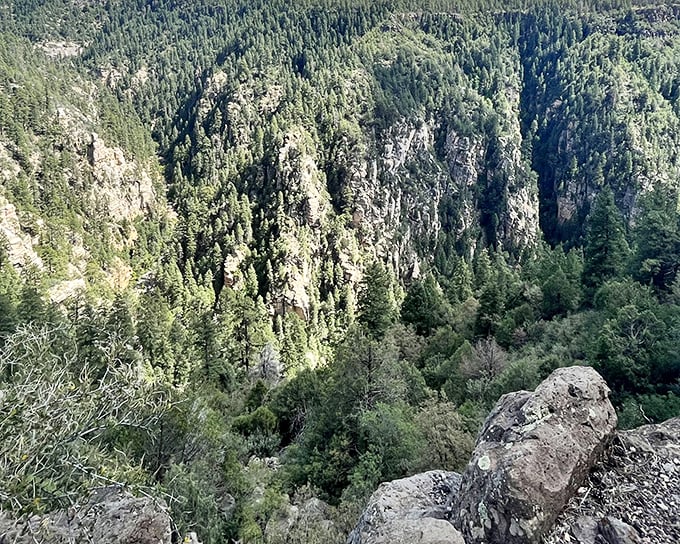 The canyon walls tell geological stories spanning millions of years, with each layer of rock representing a chapter in Earth's epic autobiography.