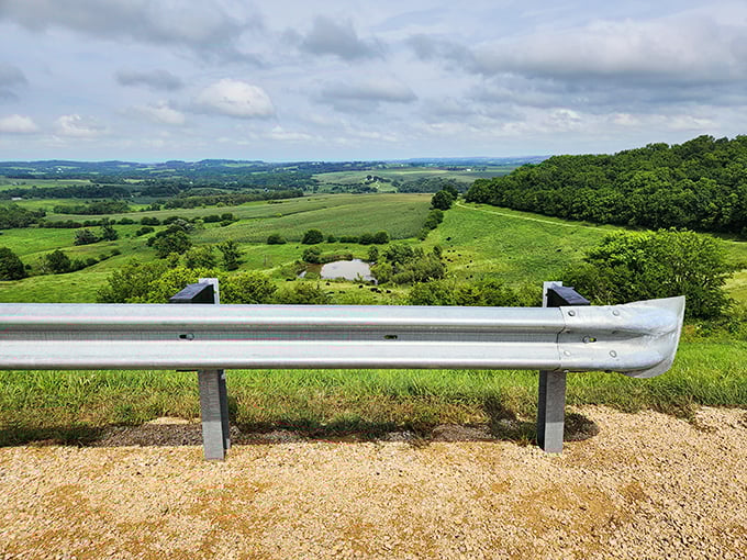 The guardrail isn't just holding back cars—it's restraining all of northwestern Illinois from tumbling into your lap in one magnificent panoramic feast.