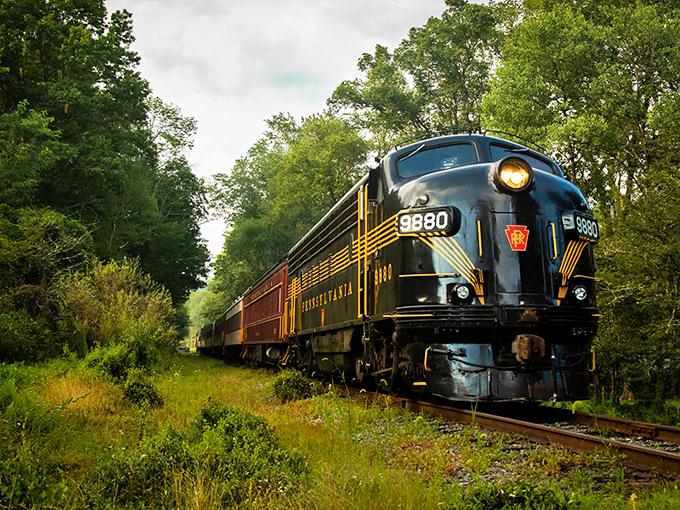 Nature's own fireworks display frames the distinctive red and black locomotive as it winds through Pennsylvania's autumn splendor. All aboard for leaf-peeping perfection!