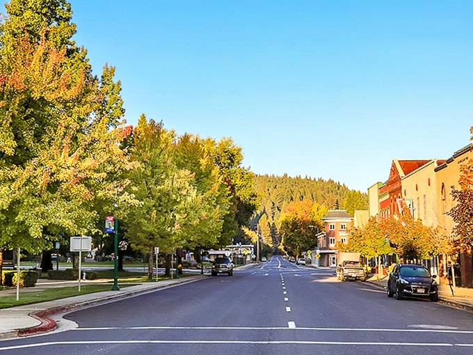 Main Street Quincy in autumn glory&mdash;where fall foliage meets small-town charm and not a single chain store ruins the view.