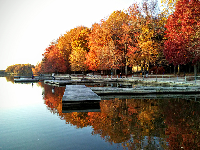 Nature's perfect mirror act: autumn trees showing off their fiery wardrobe with a water-based encore performance below. Delaware's own double feature.