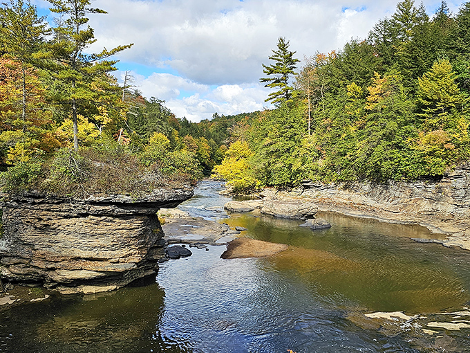 Nature's own masterpiece: the Youghiogheny River carves through ancient rock formations, creating a landscape that rivals any art museum.