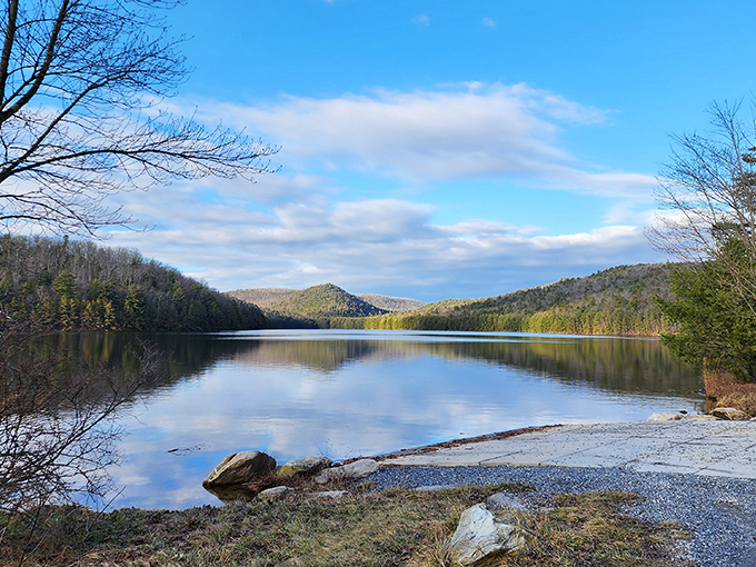 Where autumn performs its annual magic show, turning ordinary trees into living stained glass windows.