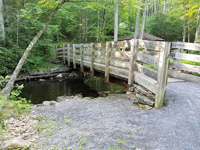 Nature's perfect footbridge spans the gentle waters, inviting visitors to cross into a world where deadlines and devices suddenly seem less important.