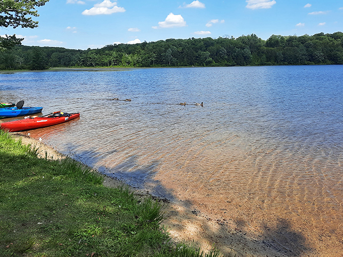 Crystal-clear waters meet vibrant shorelines at Promised Land Lake, where colorful kayaks wait patiently for their next adventure.