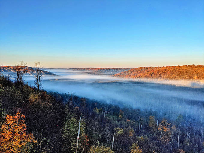 Nature's morning magic show. Autumn sunlight burns through valley mist, transforming the Kinzua gorge into a dreamscape worthy of a fantasy film.