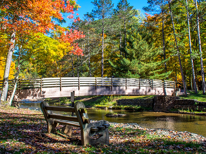 Fall foliage frames the park entrance like nature's own welcome mat, complete with autumn's finest color palette.