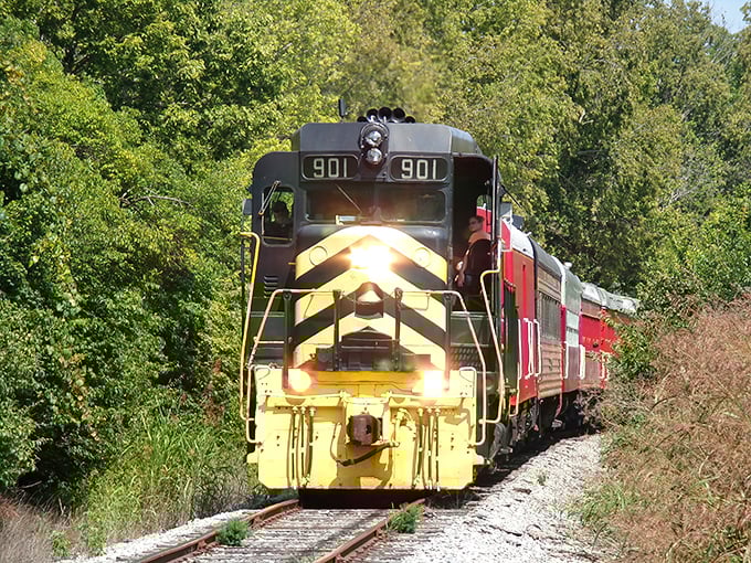 Engine 901 emerges from the greenery like a mechanical time traveler, its yellow and red livery gleaming in the sunshine as it journeys through Warren County.