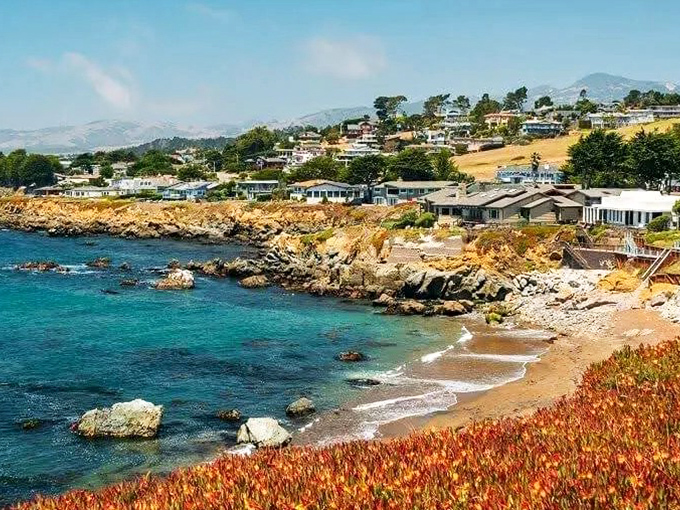 Coastal magic unfolds where the Santa Lucia Mountains meet the Pacific. Cambria's rugged shoreline looks like Mother Nature's own infinity pool.