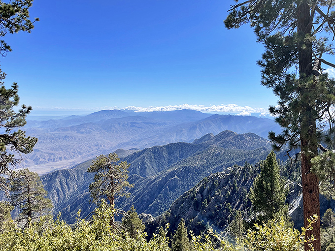 Layer upon layer of mountain ridges stretch to the horizon, creating nature's own version of a breathtaking infinity pool. The desert below seems like another world entirely.