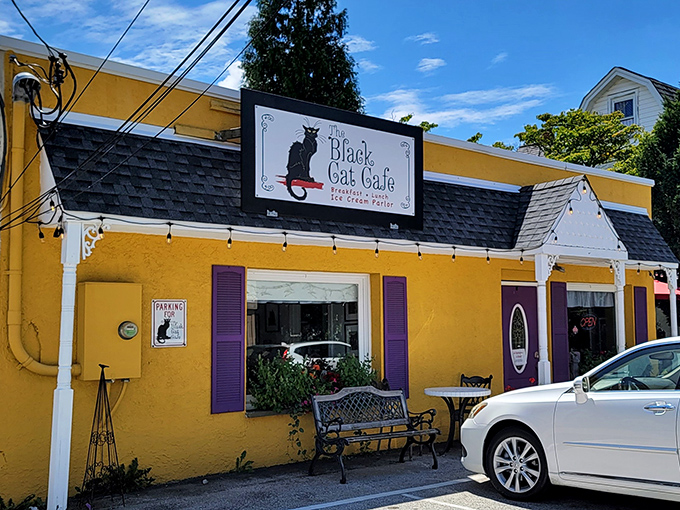 The sunshine-yellow exterior of The Black Cat Cafe isn't just eye-catching&mdash;it's practically shouting "breakfast paradise inside!" Those purple shutters add the perfect whimsical touch.