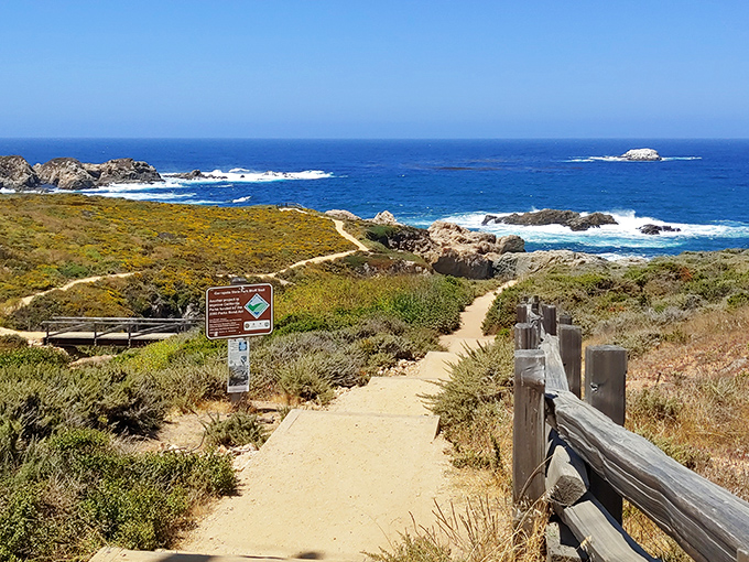 Nature's infinity pool: where rugged cliffs meet the Pacific in a display that makes even the most jaded travelers stop mid-sentence.