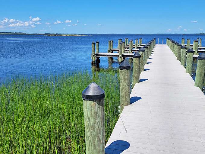 A wooden boardwalk stretches into the serene blue waters, nature's version of a red carpet entrance. Simplicity never looked so inviting.