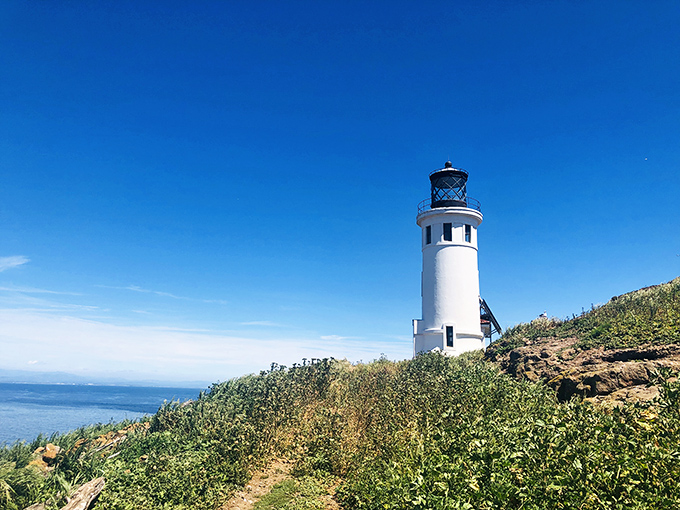 The Anacapa Island Lighthouse stands like a beacon of hope against California's endless blue canvas.