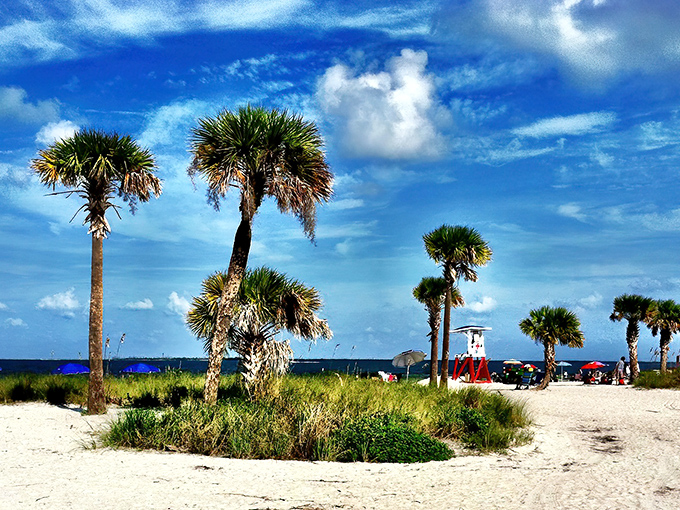 Those palm trees aren't just standing there &ndash; they're auditioning for every Florida postcard ever made.