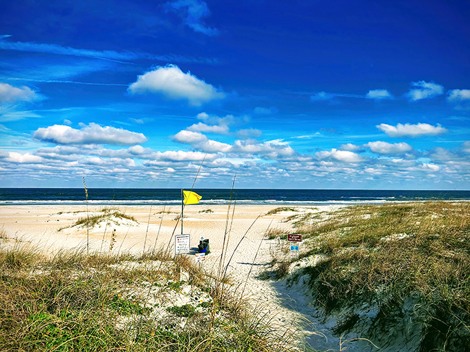 Nature's perfect postcard: pristine white sand dunes meet the endless blue Atlantic, with sea oats dancing in the breeze like nature's own welcome committee.