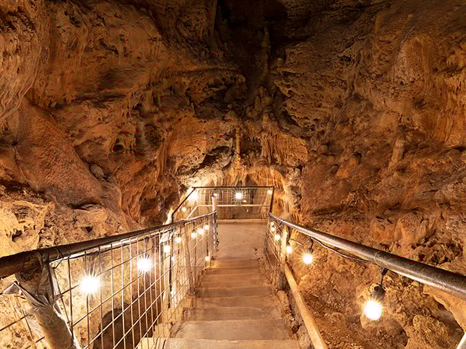 The stairway to another world begins here. These 126 steps lead you into a limestone wonderland that's been quietly crafting masterpieces for millions of years.