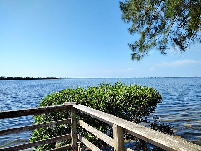 Nature's masterpiece on display: Little Assawoman Bay's marshlands create a watercolor painting that changes with every tide and season.