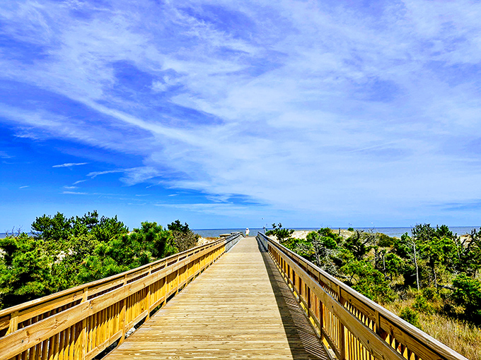 The wooden boardwalk stretches toward infinity, promising adventures where the sky meets the sea. Nature's own red carpet to Delaware's coastal paradise.
