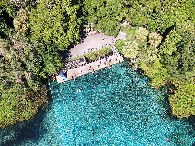 From a bird&rsquo;s-eye view, Mother Nature&rsquo;s masterpiece unfolds: crystal-clear Florida spring waters framed by lush greenery, inviting swimmers into a living postcard.