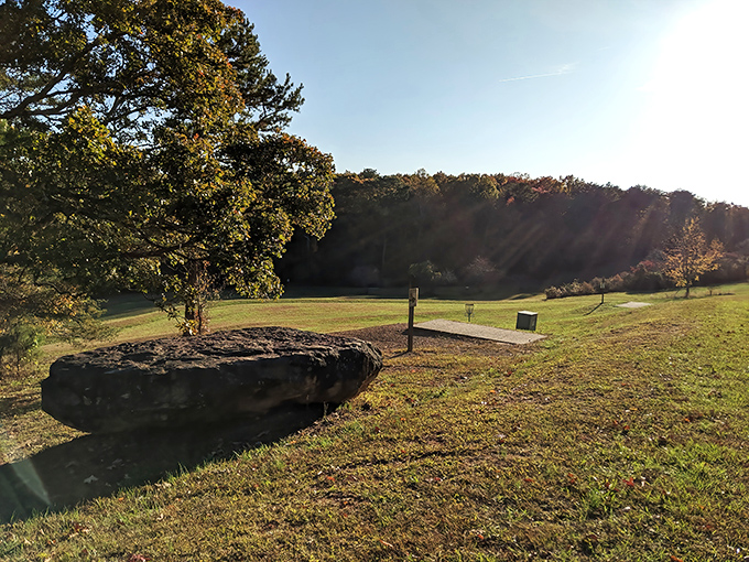 A peaceful meadow that whispers, "Hey, take a load off." Perfect spot for contemplation or an impromptu nap between hikes.