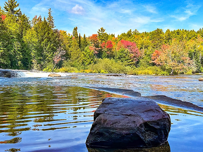 Nature's welcome mat unfurls along this wooden boardwalk, inviting you into a cathedral of green where sunlight plays hide-and-seek through the canopy.
