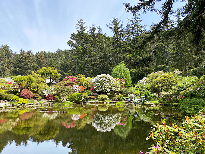The Japanese garden's reflecting pond creates nature's perfect mirror, doubling the beauty of every azalea and maple in this tranquil oasis.