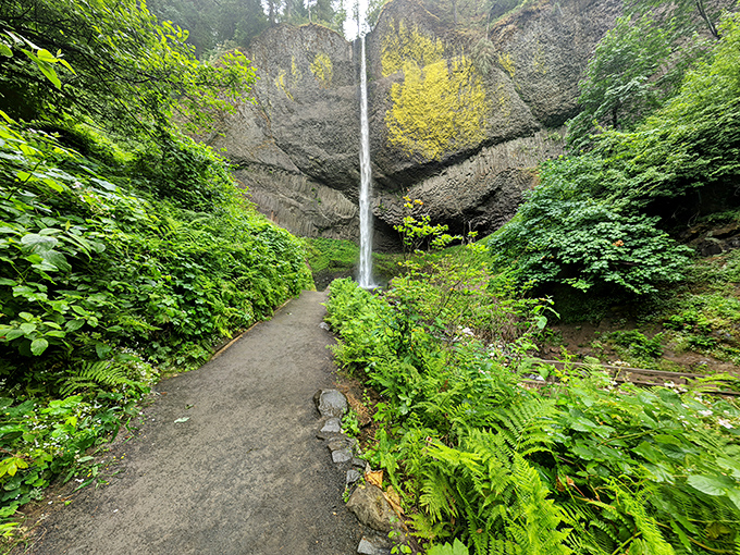 The path to natural splendor unfolds before you, with Latourell Falls standing tall like nature's own monument to tranquility. Oregon's green embrace at its finest.