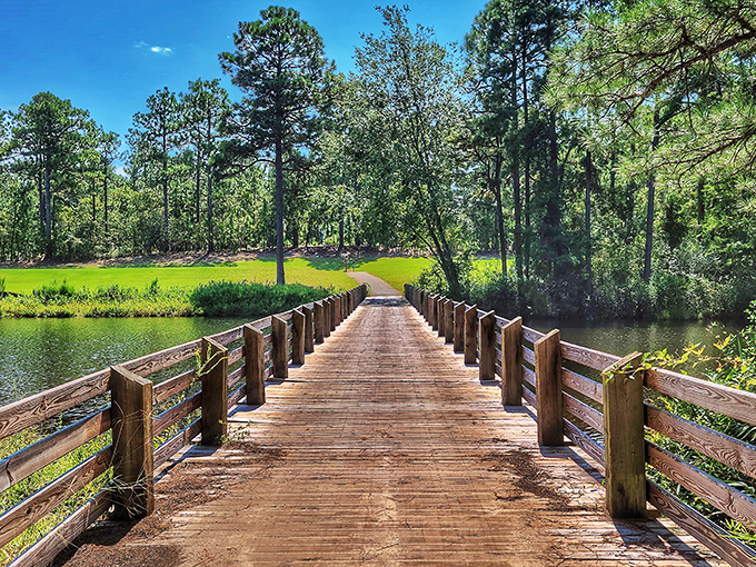 This wooden bridge isn't just a path across water&mdash;it's an invitation to adventure. Nature's red carpet moment, minus the paparazzi.