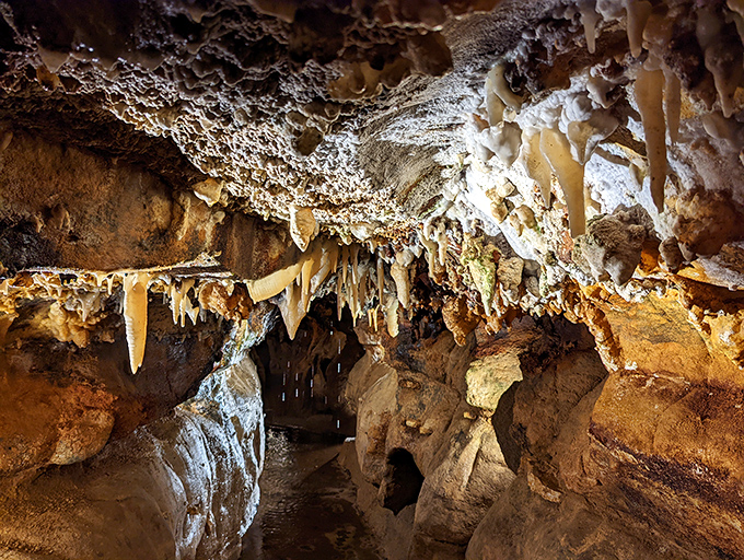 Nature's underground art gallery reveals itself in stunning detail, where stalactites and stalagmites have been performing their slow dance for millennia.