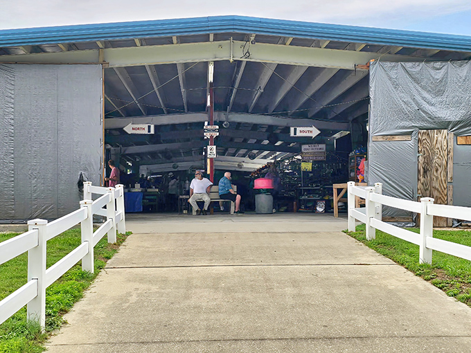 Treasure hunters navigate the outdoor vendor area, where one person's castoffs become another's prized possessions. Florida's weekend retail safari in full swing.