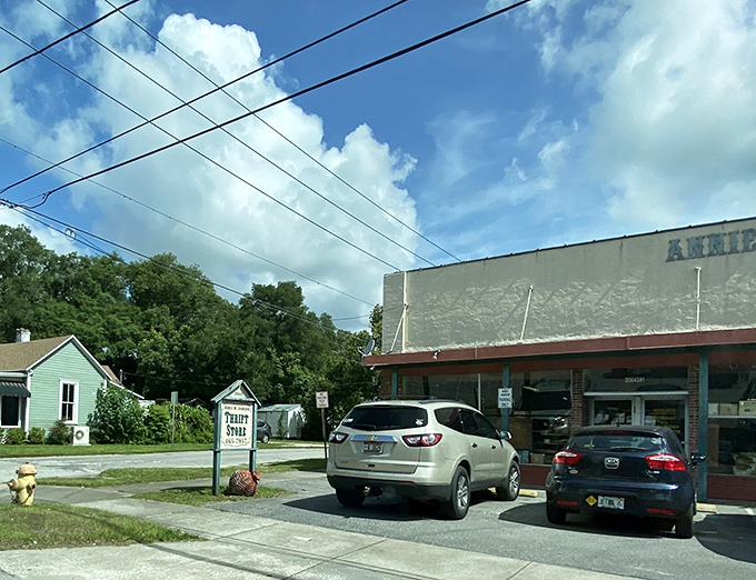 Behind its modest fa&ccedil;ade lies a world of surprises&mdash;like a page-turner thrift novel, This & That keeps its best twists for curious shoppers.