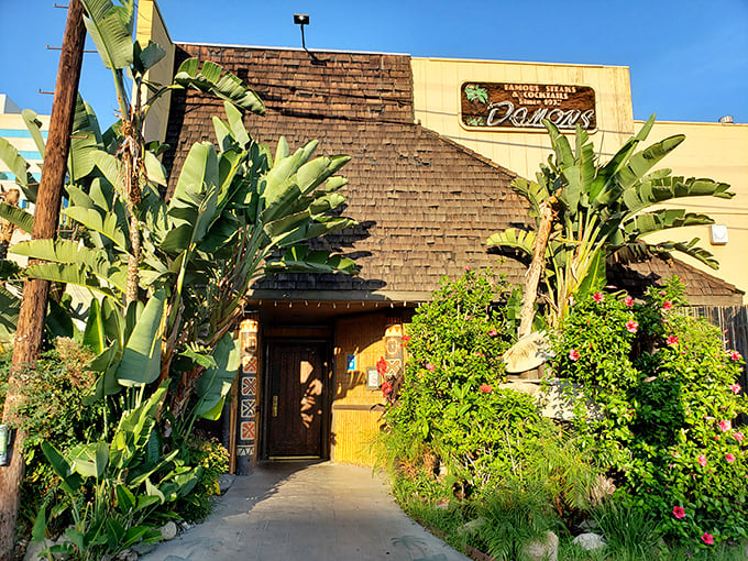 Nature meets nostalgia at Damon's entrance, where banana plants stand guard like tropical bouncers protecting the steakhouse's delicious secrets within.
