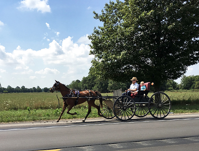 Where time travels at horse speed. The quintessential Amish buggy rolls through Middlebury's countryside, a reminder that some journeys are best taken slowly.