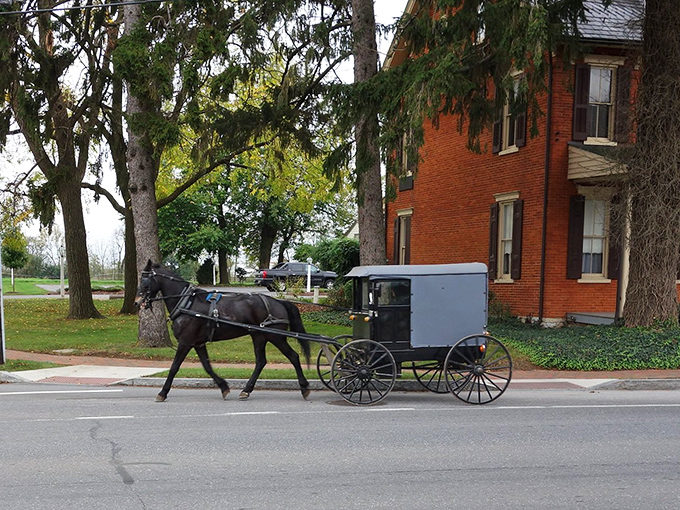 Where time slows down: An Amish buggy clip-clops past a historic brick home, offering a glimpse into Bird-in-Hand's simpler pace of life.