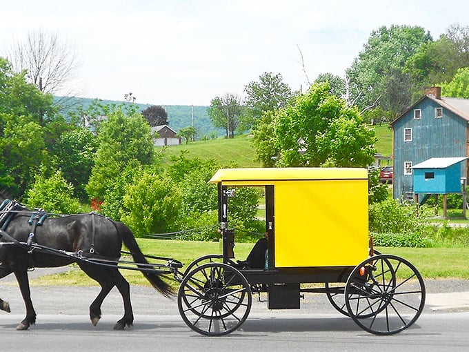 The bright yellow Amish buggy isn't just transportation&mdash;it's a moving reminder that some of life's best journeys happen at 5 mph. 