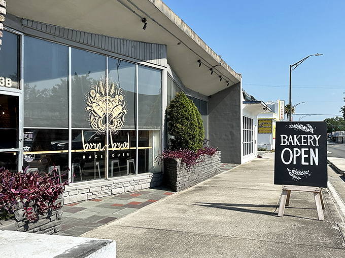 Simplicity on the outside, magic on the inside. That "BAKERY OPEN" sign might as well say "HAPPINESS AVAILABLE."