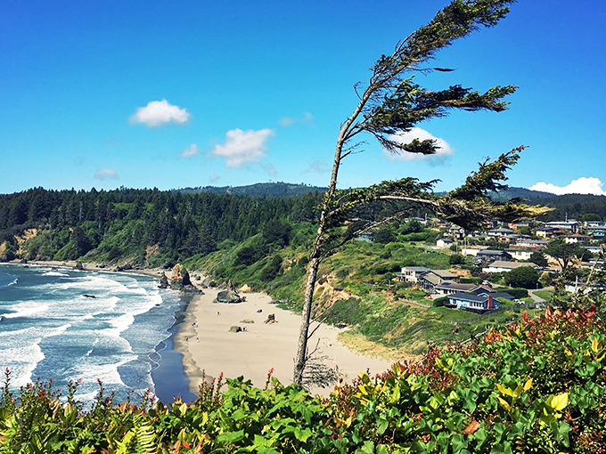 Nature's perfect balancing act: Trinidad's windswept coastline where dramatic cliffs meet pristine beaches, all without the usual California crowds.