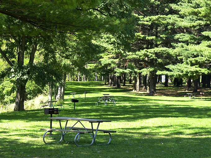 Picnic paradise! Sunlight dapples through towering pines onto meticulously maintained grounds where memories are made one sandwich at a time.