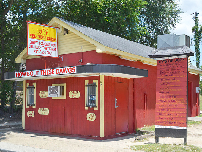 The Li'l Red Dog House stands proudly in Albany, its vibrant red exterior practically shouting "delicious hot dogs inside!" No fancy frills needed.
